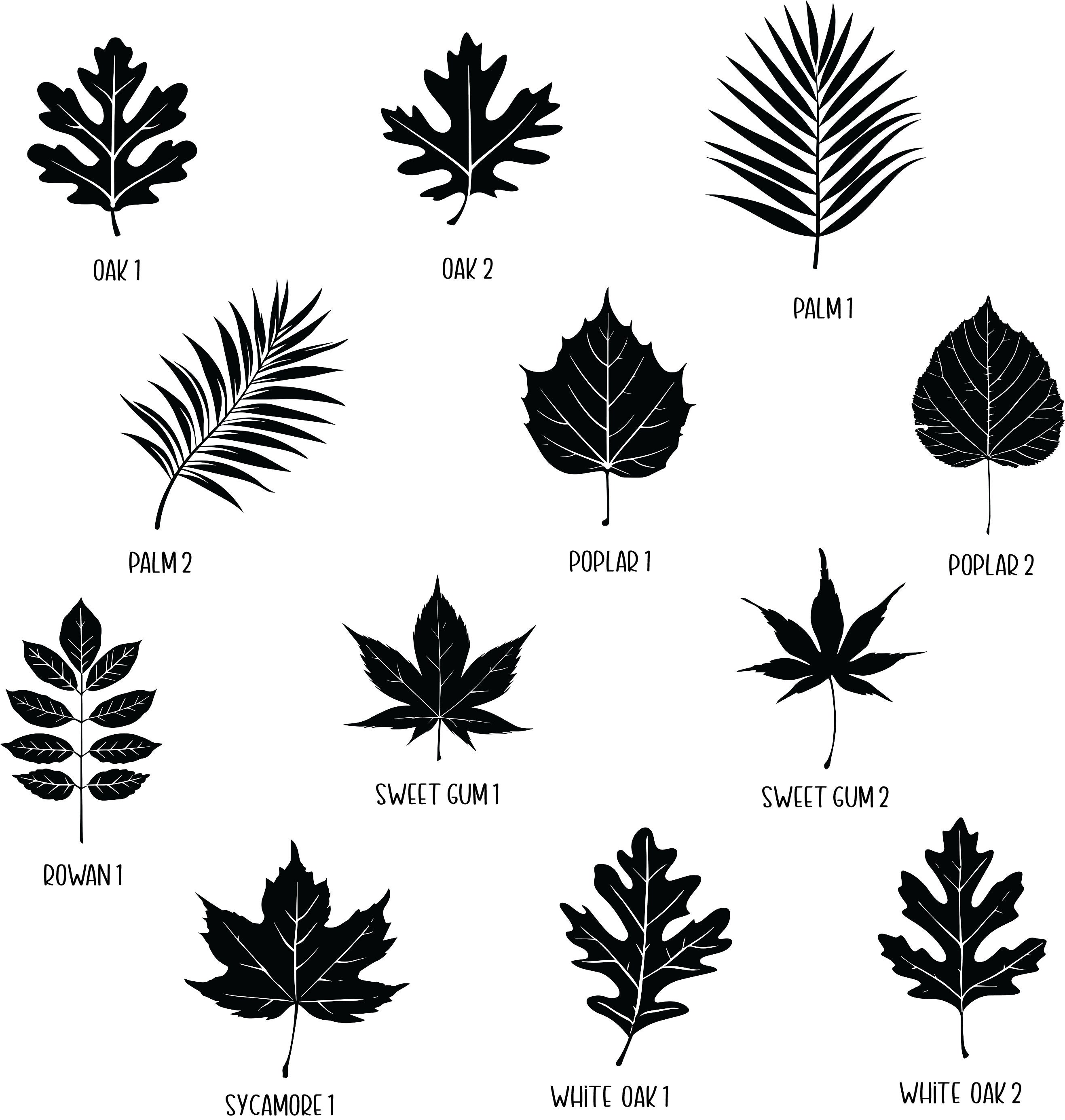 Leaf Svg Bundle Leaves Svg Bundle Plant Svg Svg Cut Files For Cricut Leaves Clipart Leaves