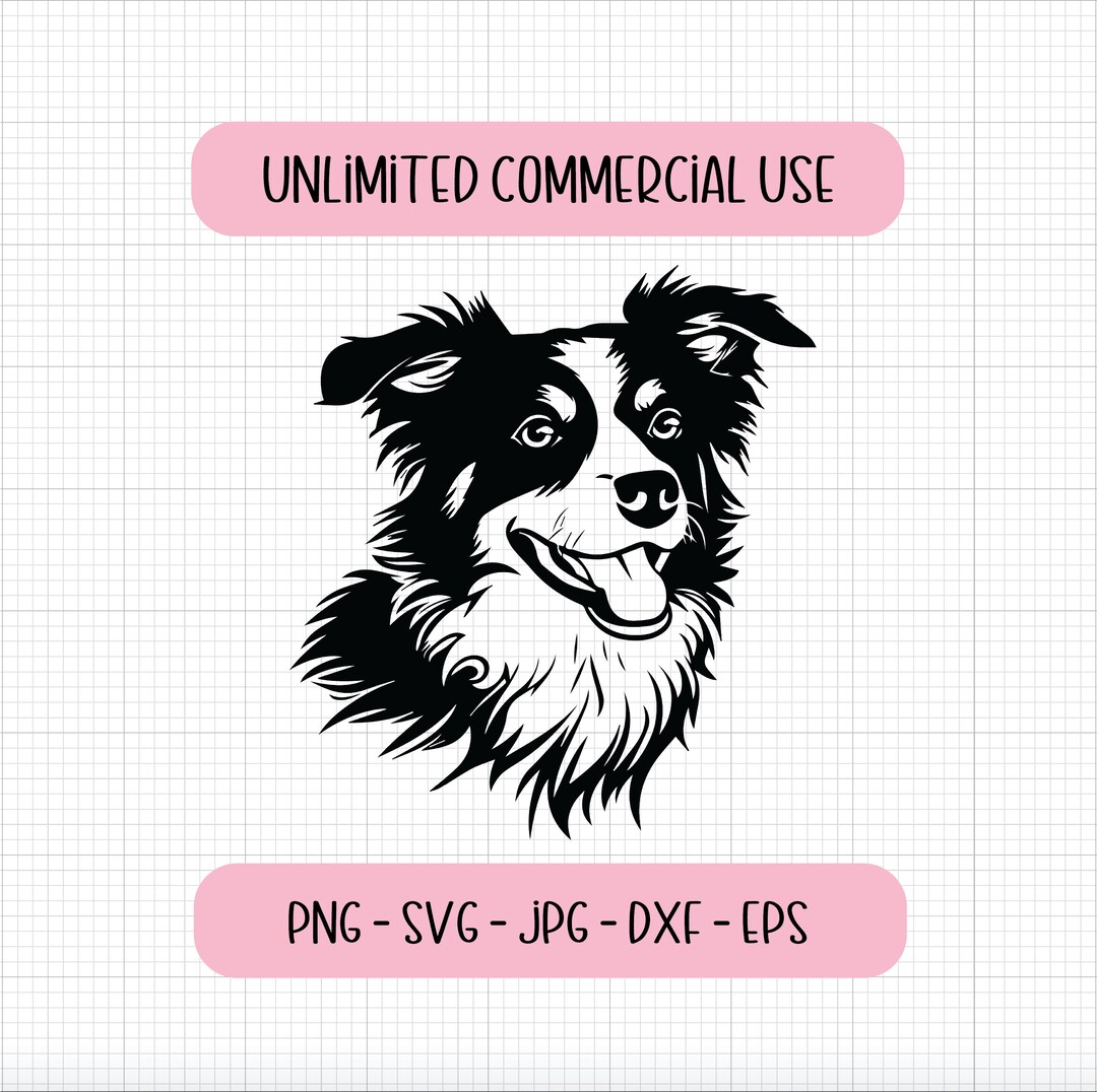 Border Collie SVG, Border Collie PNG, Border Collie Dxf Digital ...