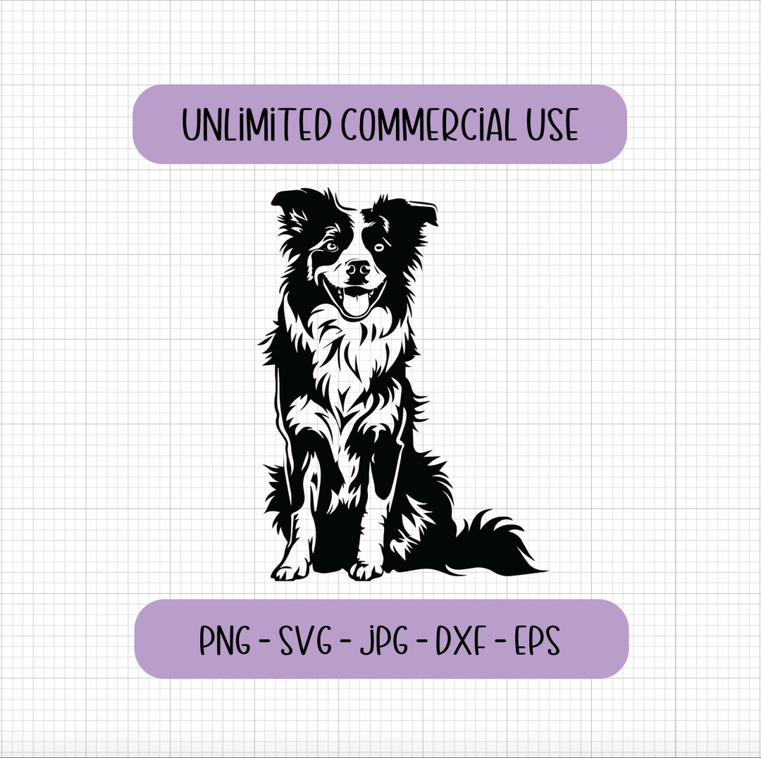 Border Collie SVG, Collie Svg, Border Collie PNG, Collie Png, Border ...