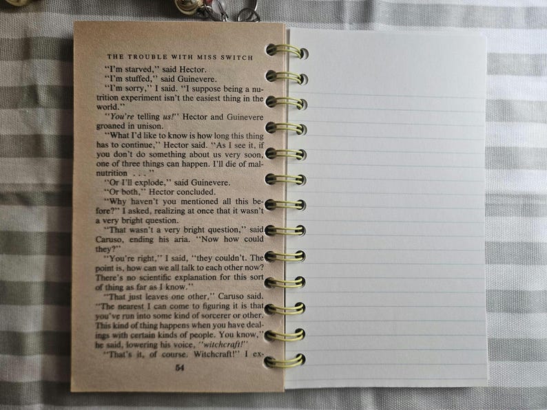 Journal - 1971 the Trouble With Miss Switch / Soft Cover / Wire Bound ...