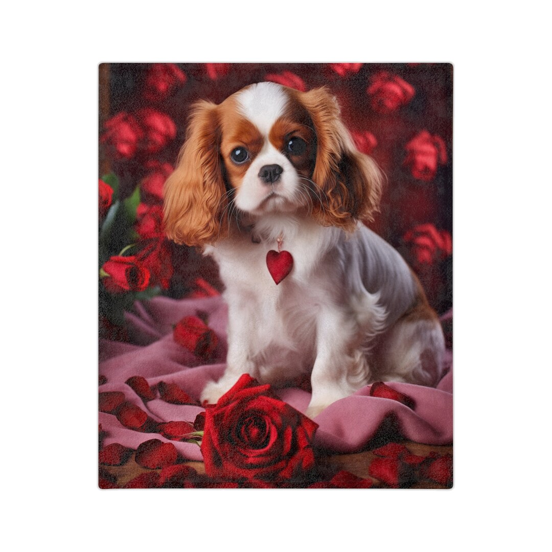 Cavalier King Charles Spaniel Blanket Valentines Bernedoodles for ...