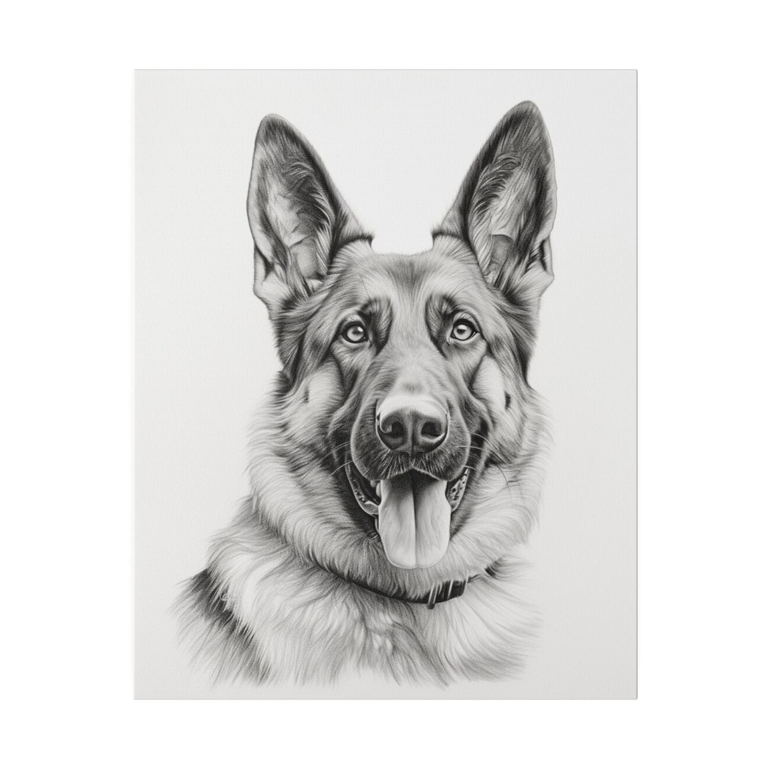 German Shepard Drawing on Canvas 01 Pencil Artwork, Black & White ...