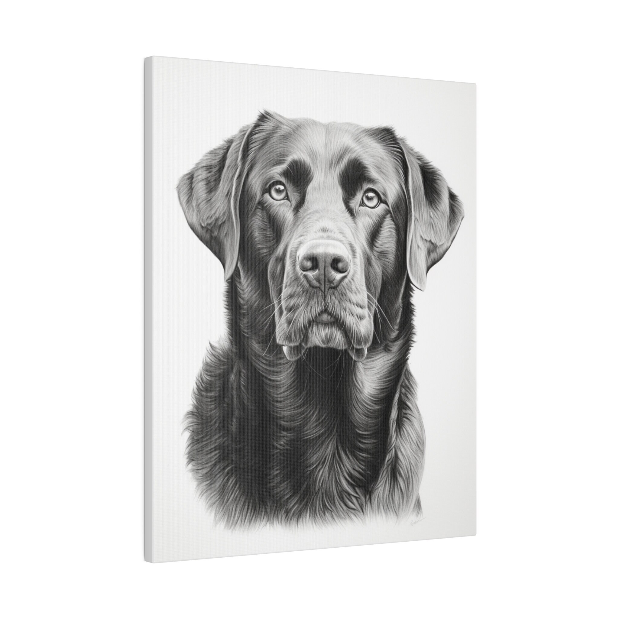 Black Labrador Drawing on Canvas 01 Pencil Artwork, Black & White ...