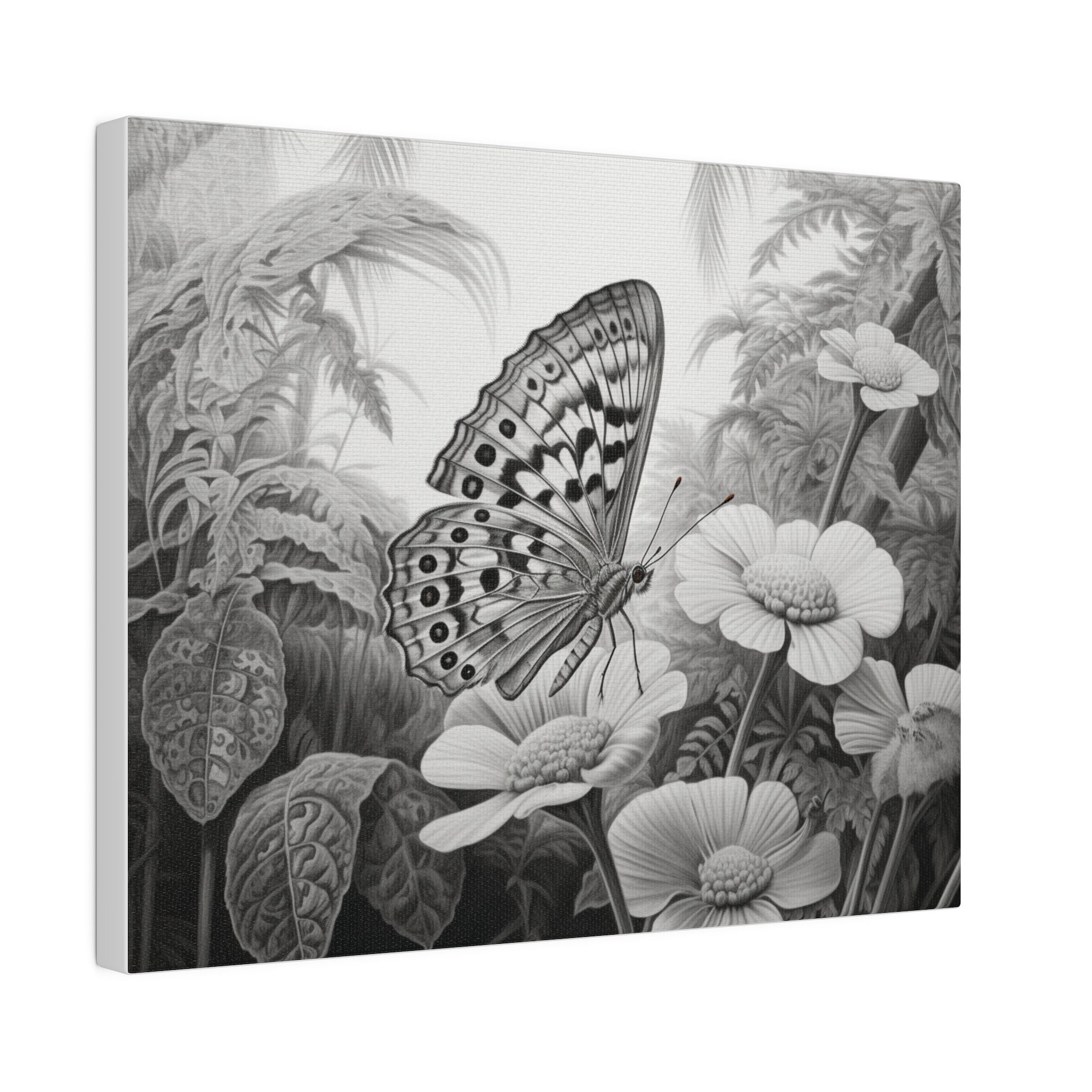 Butterfly Drawing on Canvas 02 Pencil Artwork Print, Black & White ...