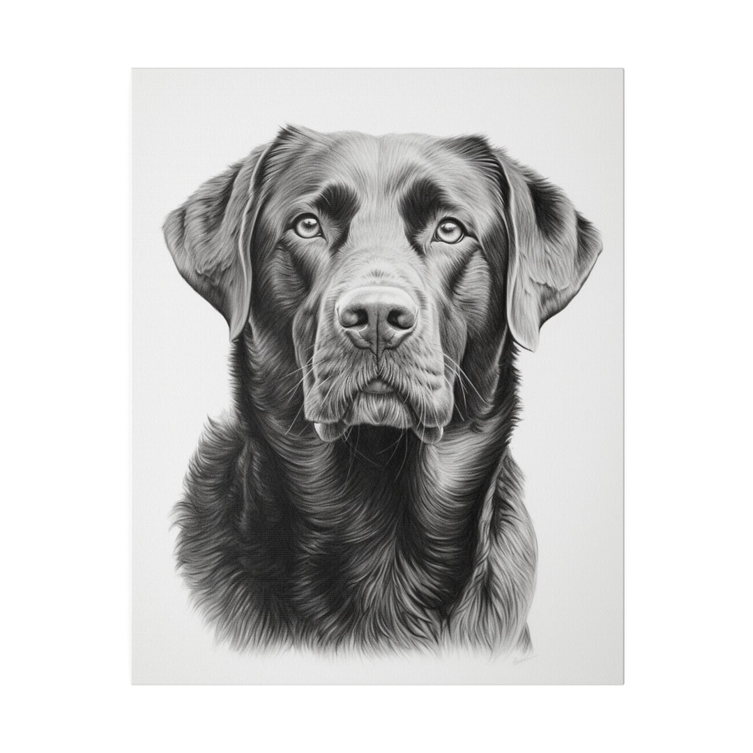 Black Labrador Drawing on Canvas 01 Pencil Artwork, Black & White ...