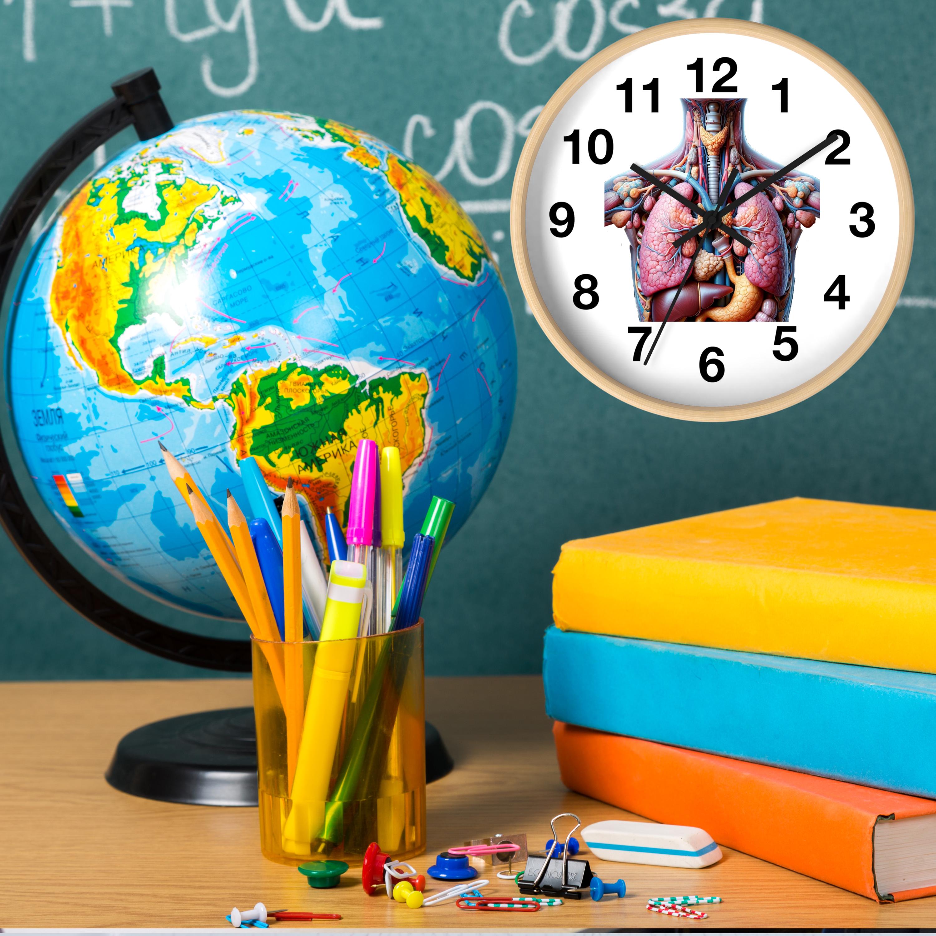 Anatomy Wall Clock: Unique Organ Chart, Science Classroom Decor - Etsy