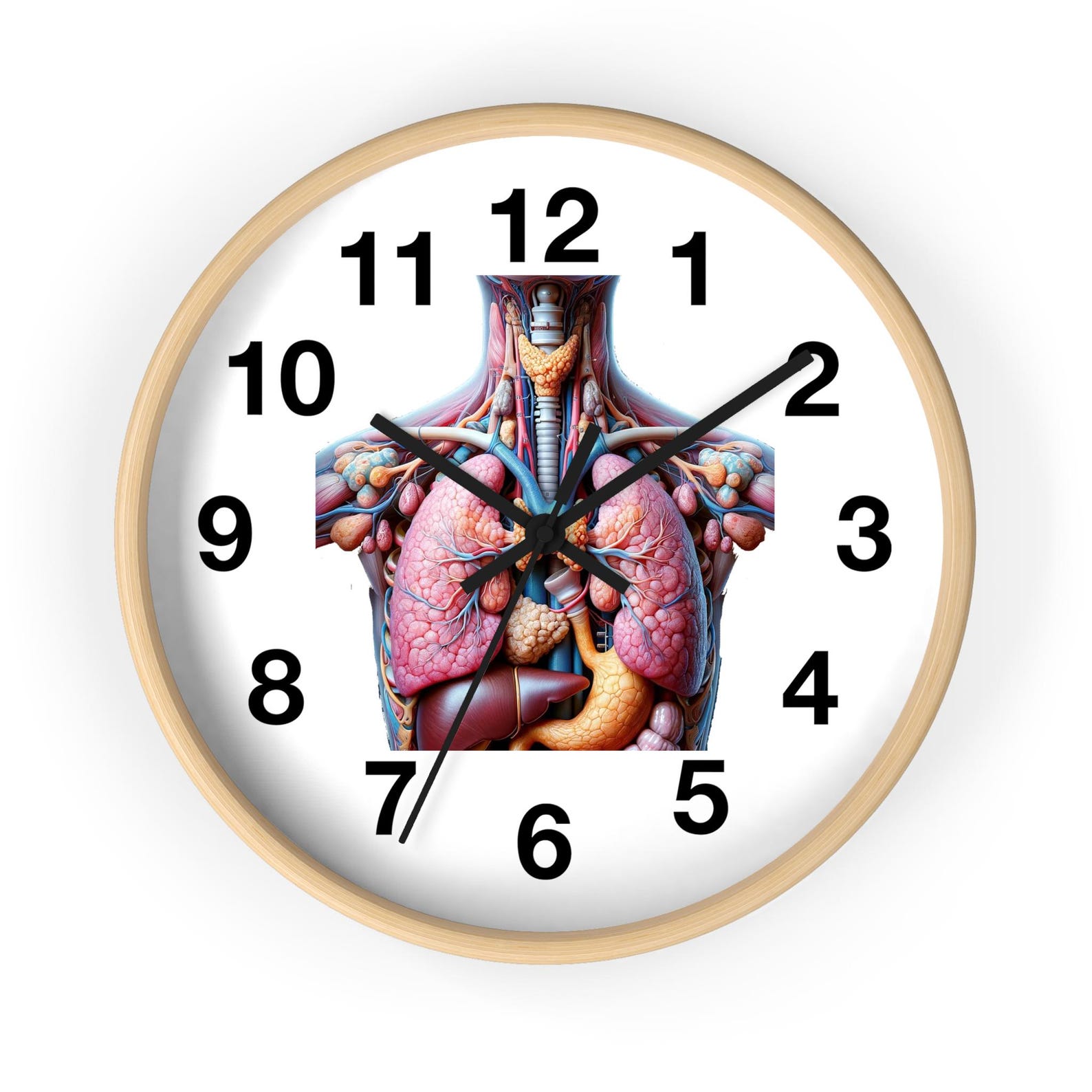 Anatomy Wall Clock: Unique Organ Chart, Science Classroom Decor - Etsy