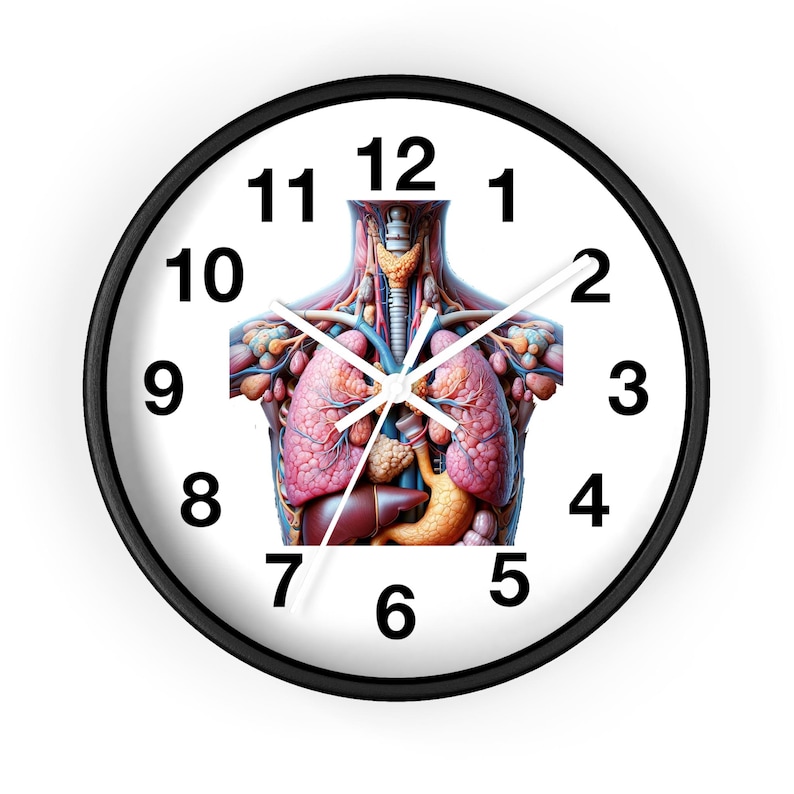 Anatomy Wall Clock: Unique Organ Chart, Science Classroom Decor - Etsy