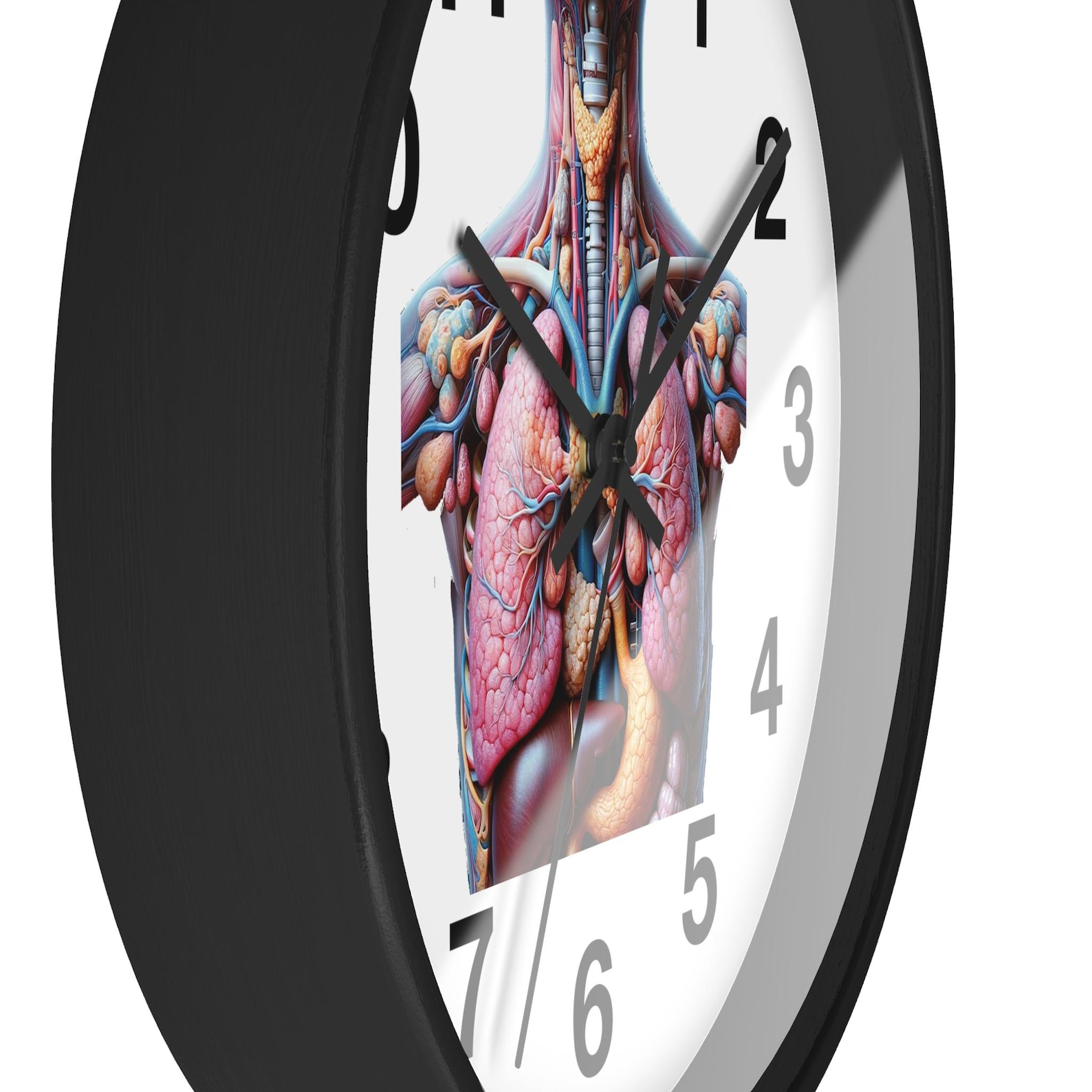 Anatomy Wall Clock: Unique Organ Chart, Science Classroom Decor - Etsy
