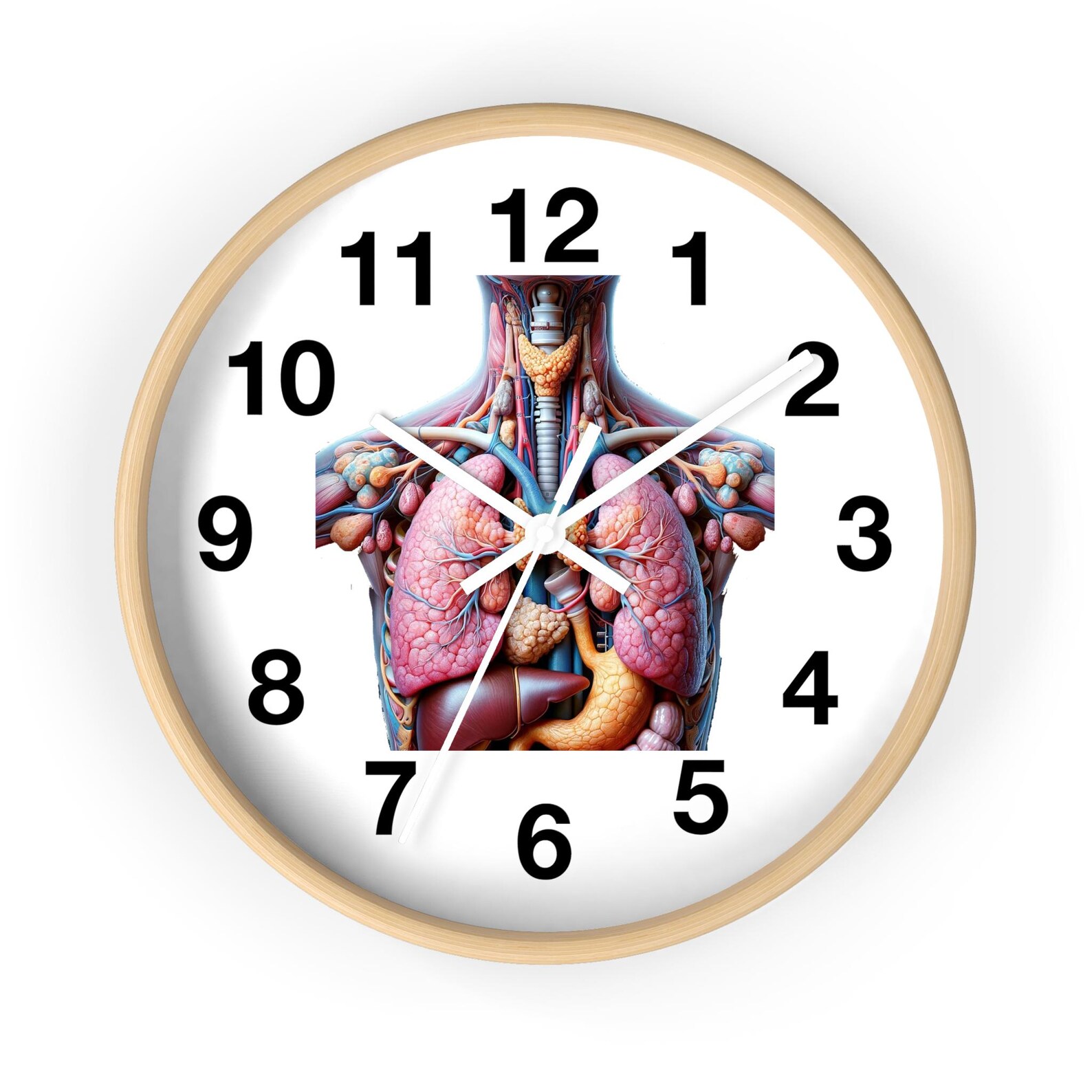 Anatomy Wall Clock: Unique Organ Chart, Science Classroom Decor - Etsy