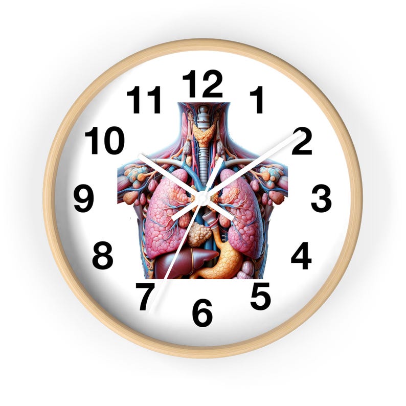 Anatomy Wall Clock: Unique Organ Chart, Science Classroom Decor - Etsy