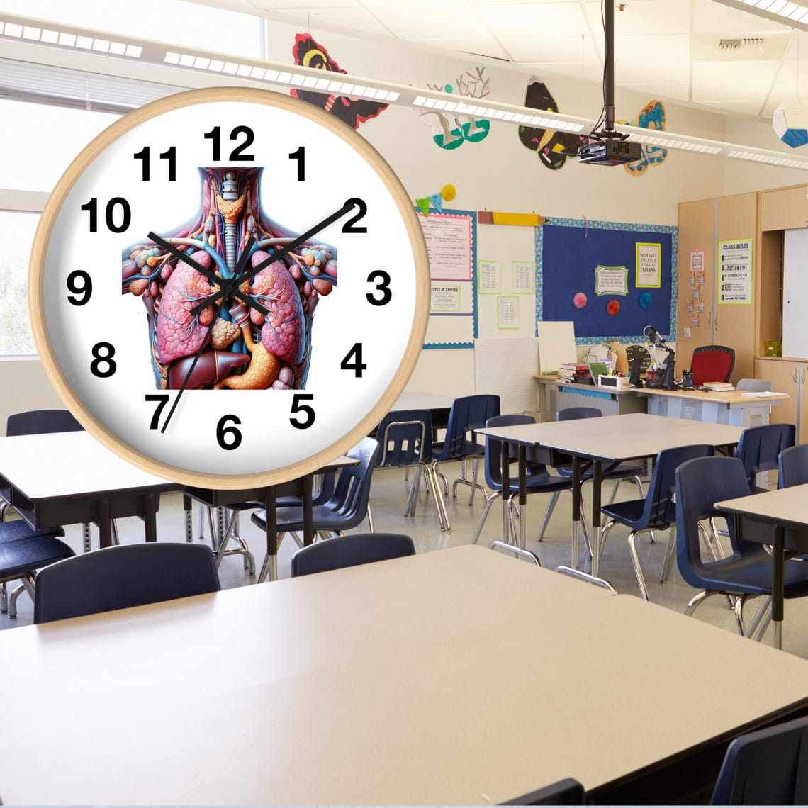 Anatomy Wall Clock: Unique Organ Chart, Science Classroom Decor - Etsy