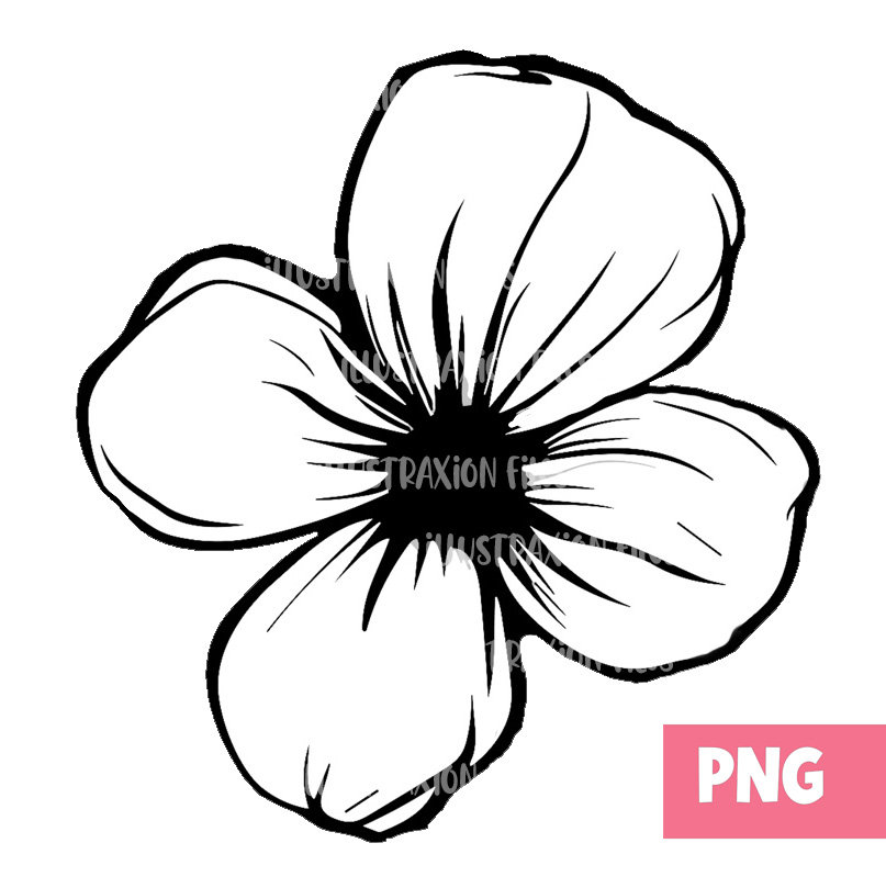 6 Black and White Floral Clipart Set | PNG | Shabby | Vintage Flowers ...