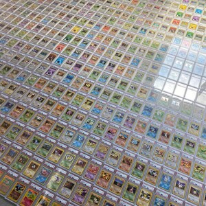 Pokémon Graded Card Mystery Pack Receive 1 Graded Card & Extras in ...