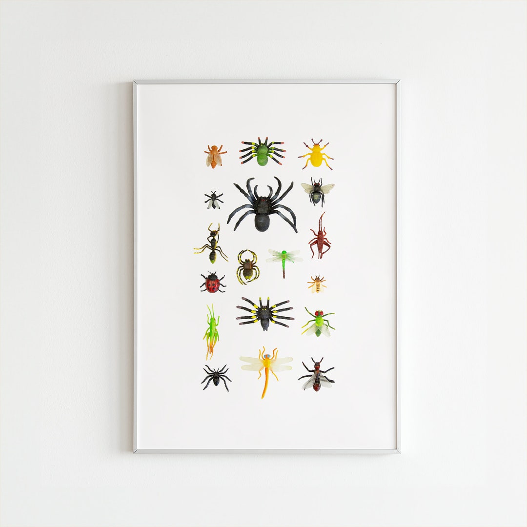 Bugs - Photographic Toy Insect Poster - Digital Print - Bug Art Print ...