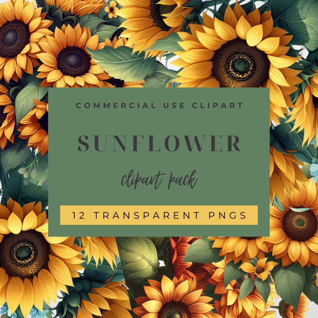 Sunflower Clipart-12 High-quality PNG for Commercial Use, Watercolor ...