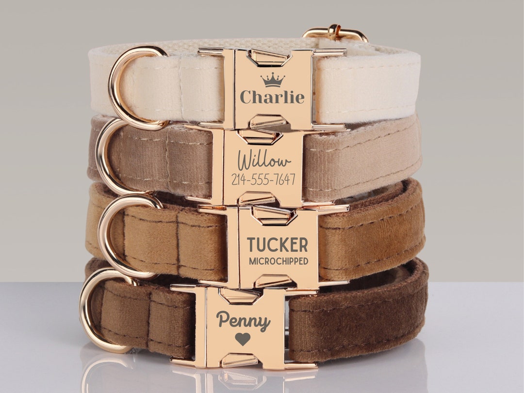 Multiple Color Velvet Engraved Dog Collar Set With Leash, Bow. Pet Name ...