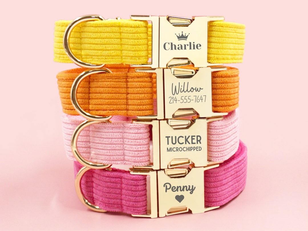 Multiple Color Corduroy Engraved Dog Collar Set With Leash, Bow. Free ...