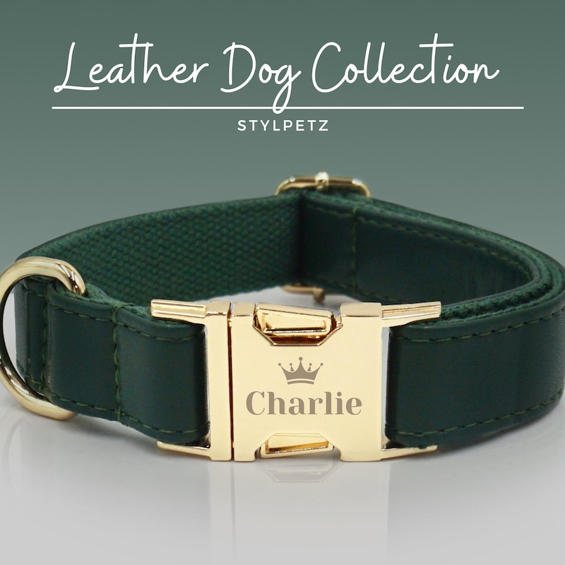 Green Leather Collar - Etsy