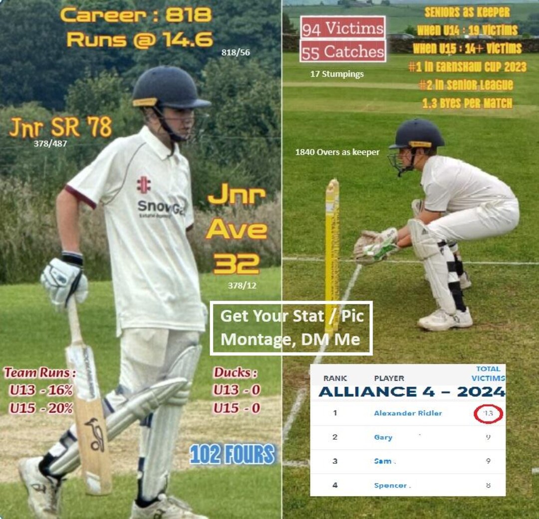 Cricket Montage With Pictures and Statistics - Idea Gift for Cricket ...
