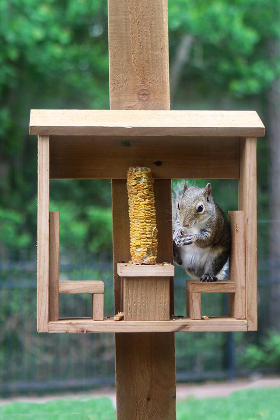 Squirrel Feeder With Chairs - Etsy