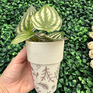 Neutral Beige Floral Hand Painted Planter Pot - Etsy