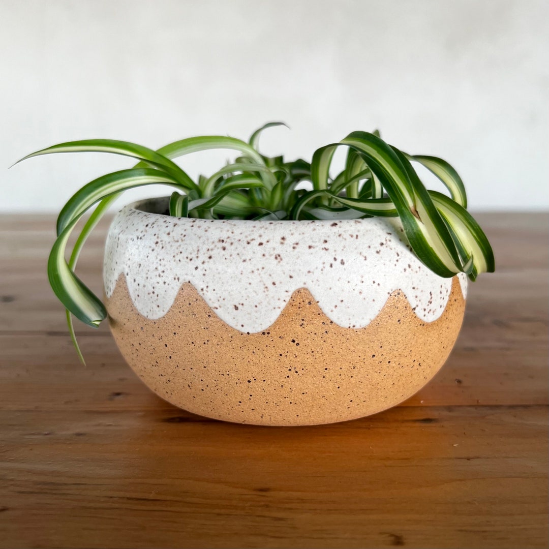4.5 Speckled Wavy Ceramic Planter With Drainage Hole Unique Scalloped ...