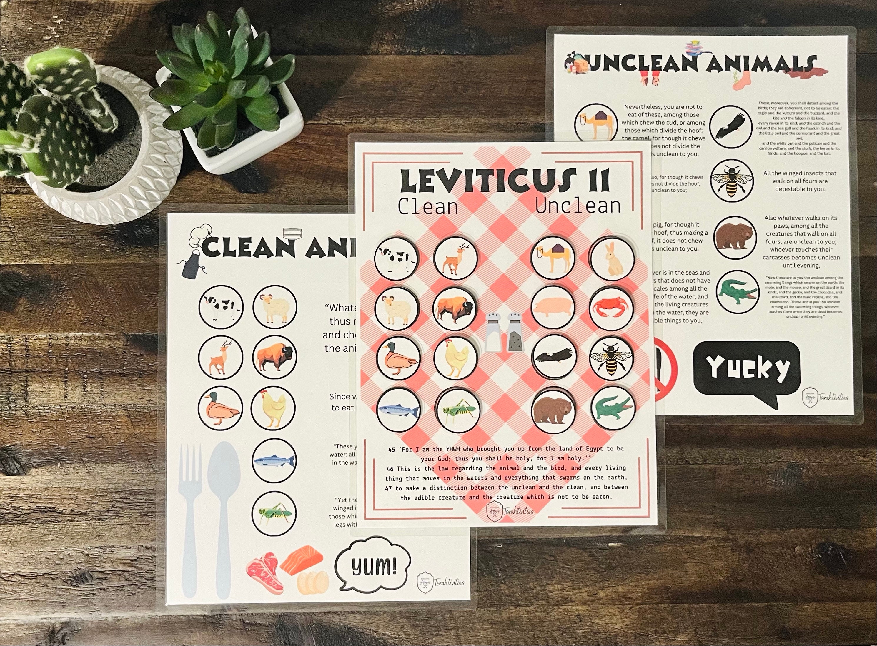 Clean and Unclean Food Bible Activity Preschool Printable - Etsy