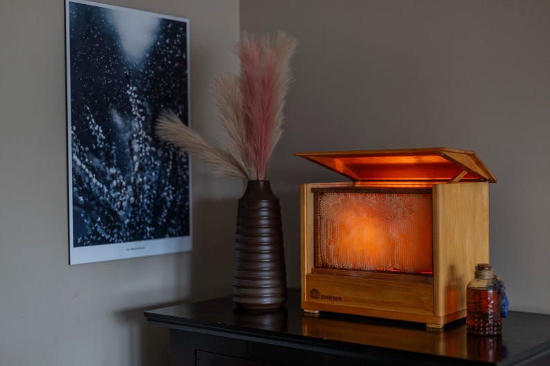 Unique Inhalation Beehive Home, to Office, Sound Apitherapy, Honeycomb ...