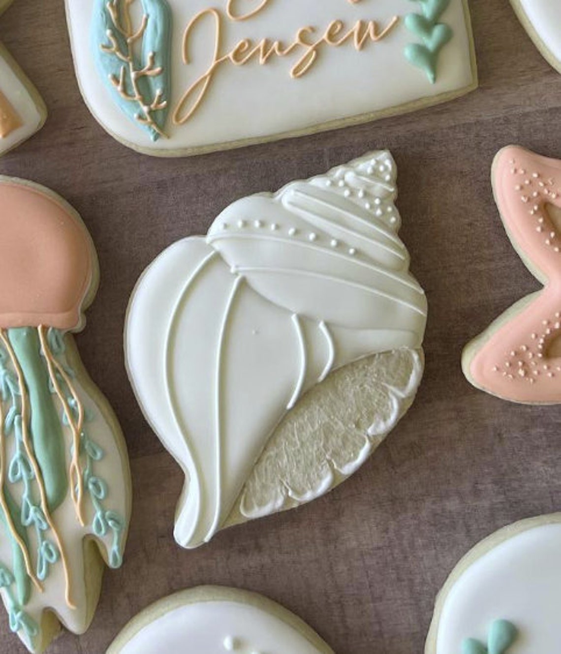 Conch Shell Cookie Cutter, Outline Only - Etsy