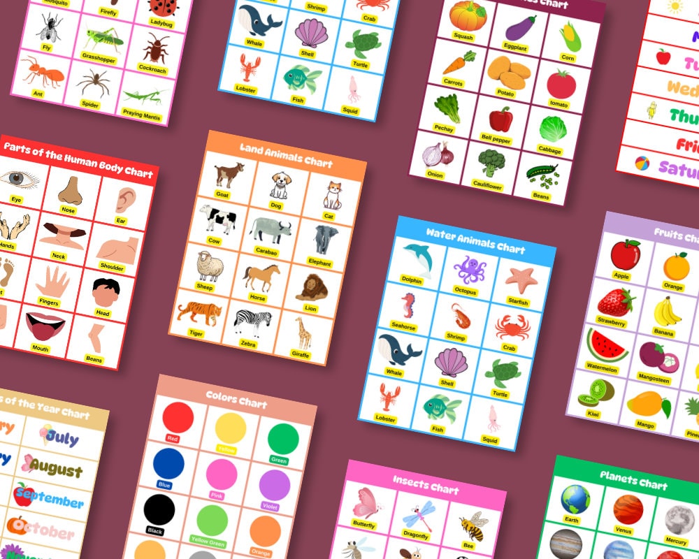 Printable Educational Charts for Kids - Etsy