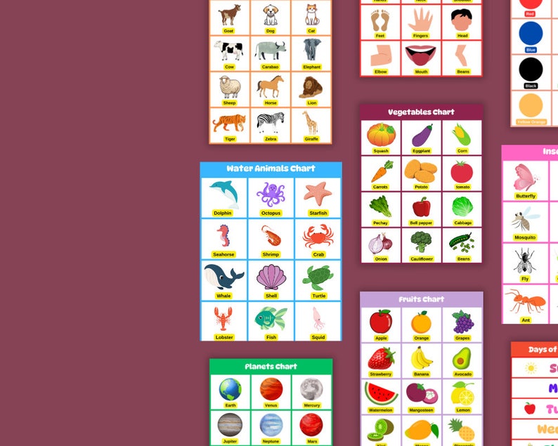 Printable Educational Charts for Kids - Etsy