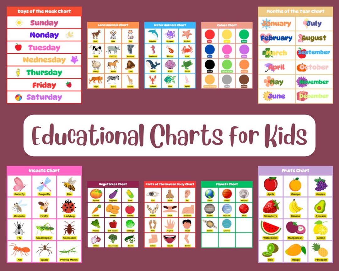 Printable Educational Charts for Kids - Etsy