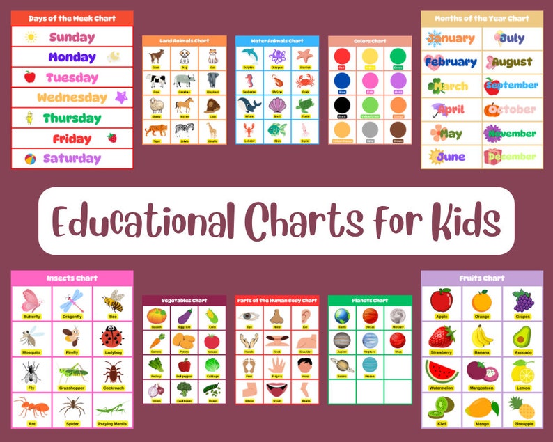 Printable Educational Charts for Kids - Etsy