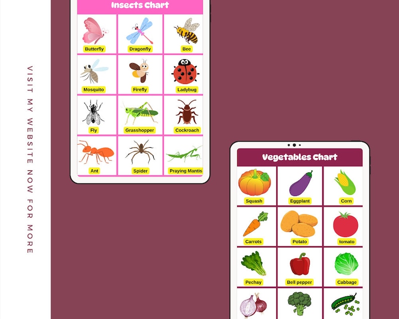 Printable Educational Charts for Kids - Etsy