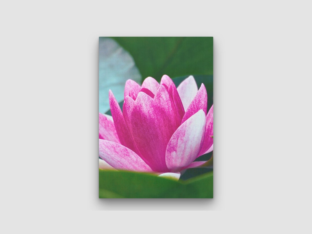 Water Lilly Portrait HDR Photograph | Landscape Architecture Wall Art ...