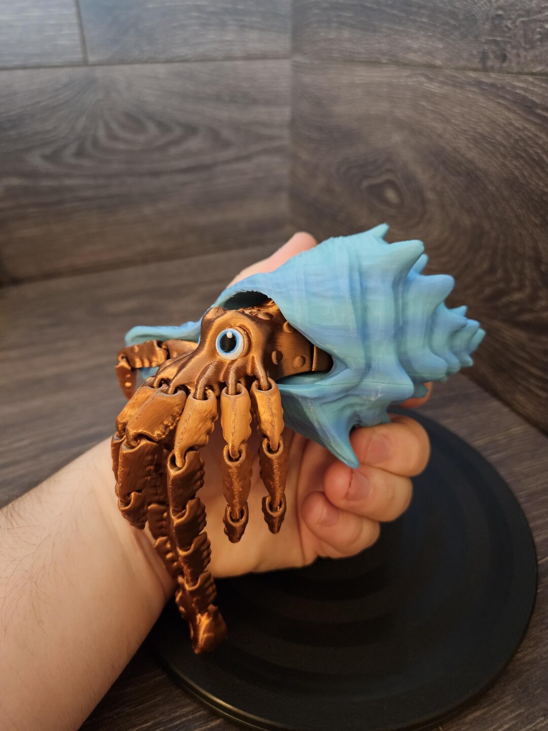 Articulated Squid With or Without Shell 3D Printed Desk Fidget - Etsy