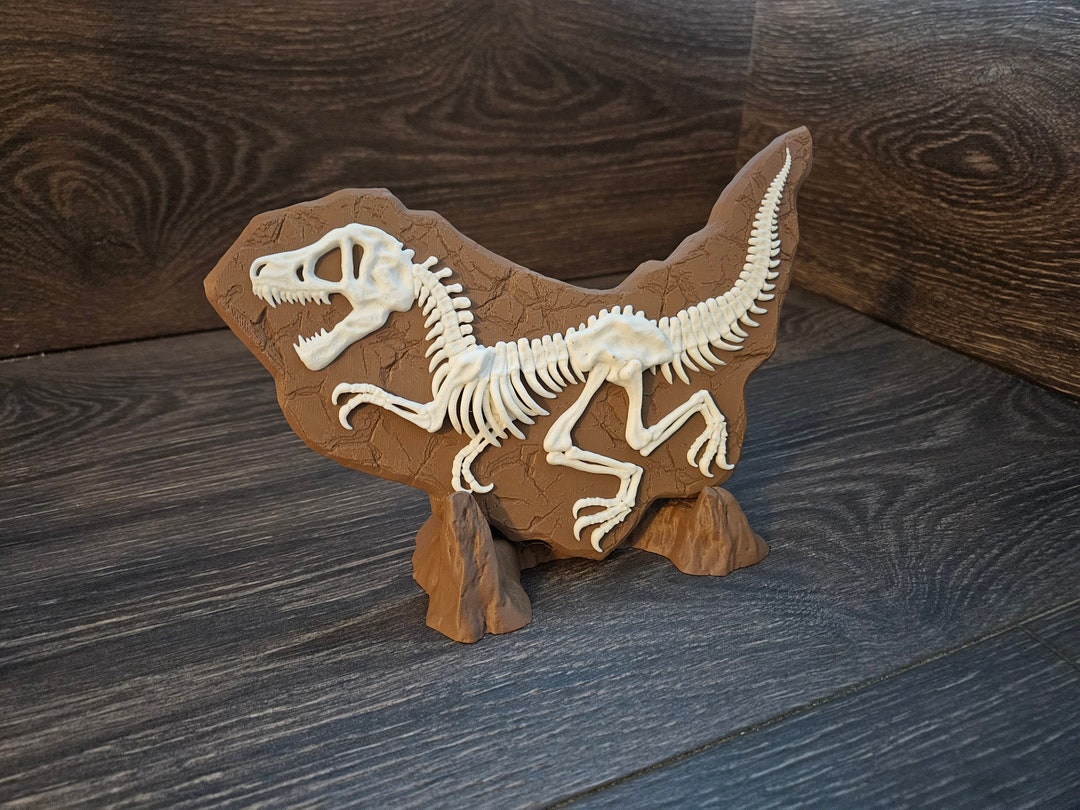 Dino Fossil Evidence 3D Printed Velociraptor Replica - Etsy