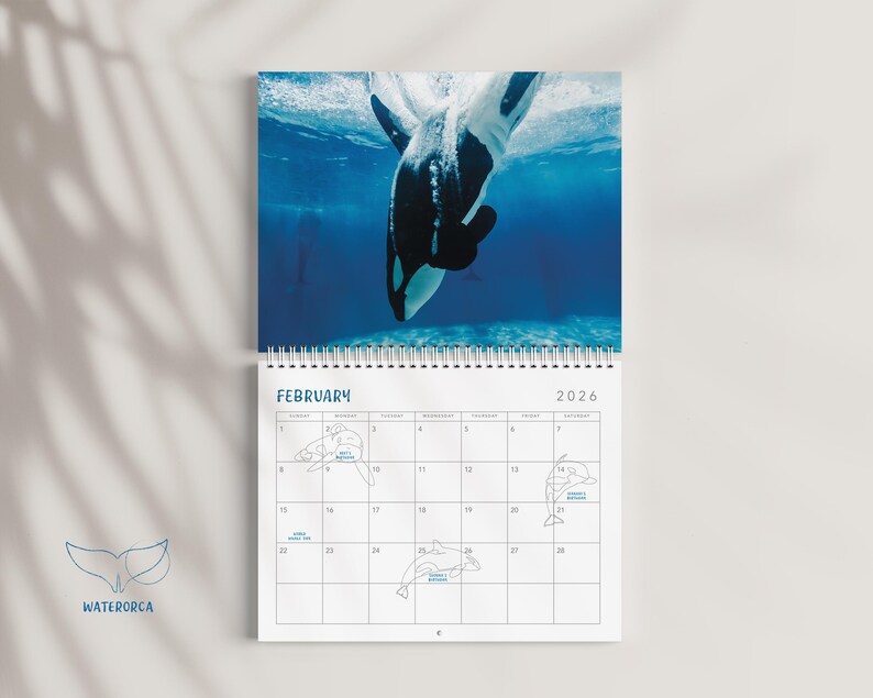 2026 San Diego Orca Calendar | Whale Photography - Etsy