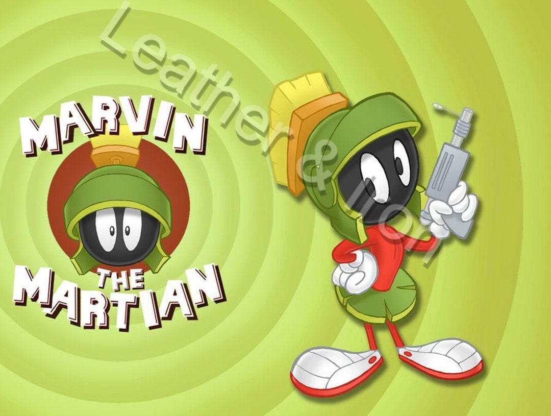 Vinyl Marvin the Martian Design Two Checkbook Cover - Etsy