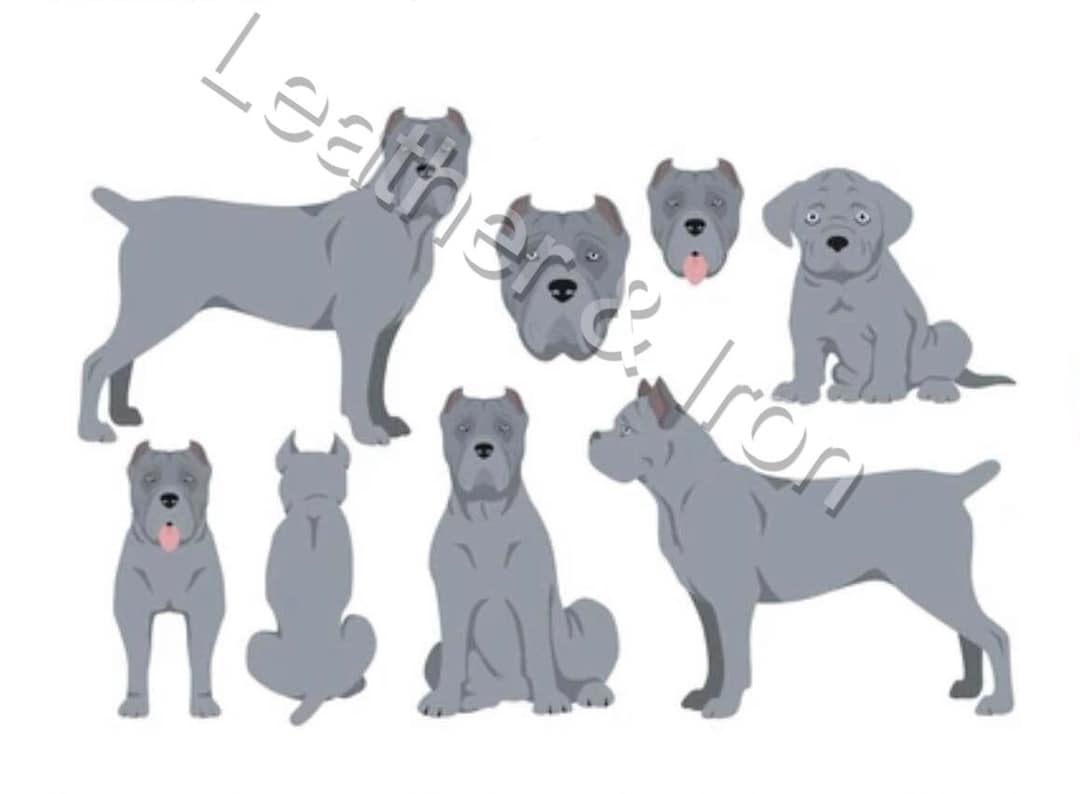 Vinyl Cane Corso Grey Dog Illustration Pattern Design Checkbook Cover ...