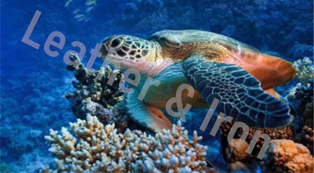 Vinyl Sea Turtle Design Checkbook Cover 2 - Etsy