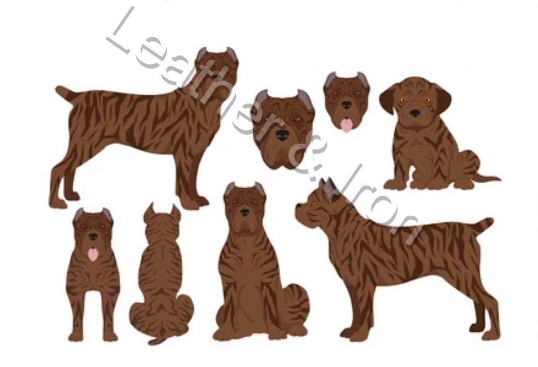 New Cane Corso Brown Dog Illustration Pattern Design Checkbook - Etsy