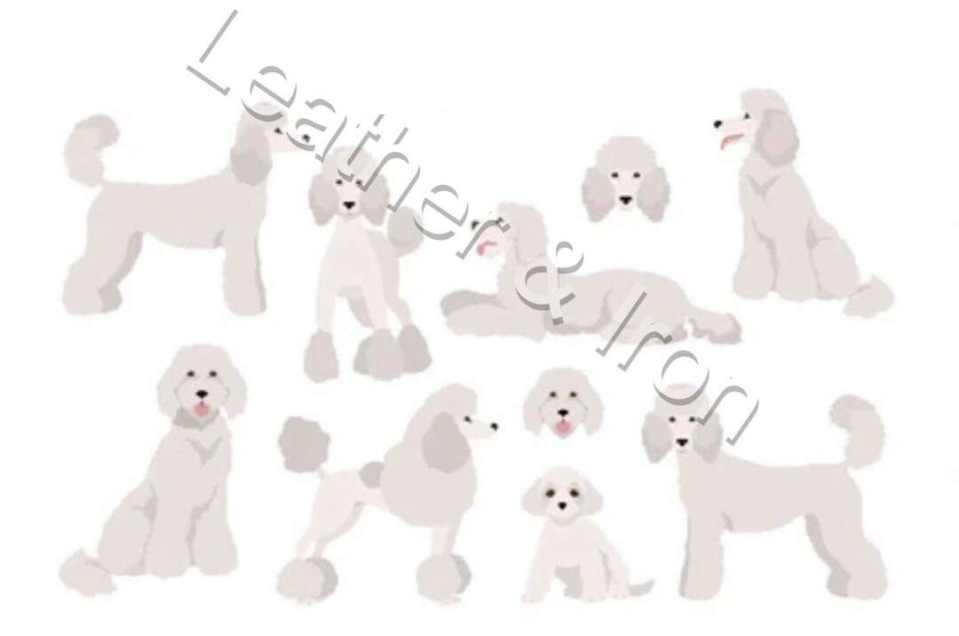 New Poodle Dog Illustration Pattern Design Checkbook Cover - Etsy