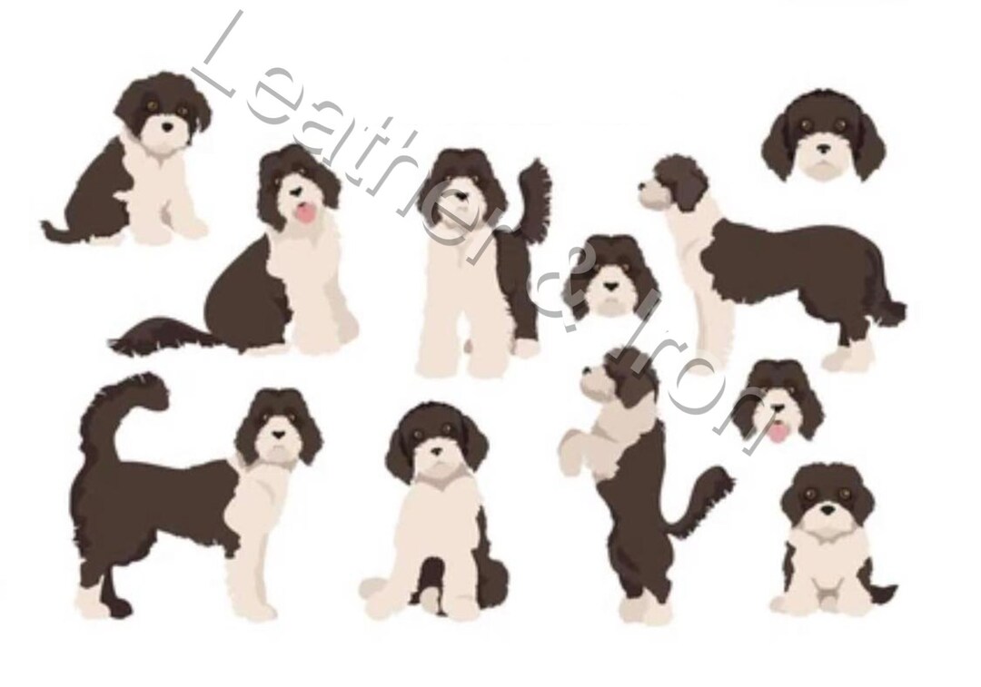 New Labradoodle Dog Illustration Pattern Design Checkbook - Etsy