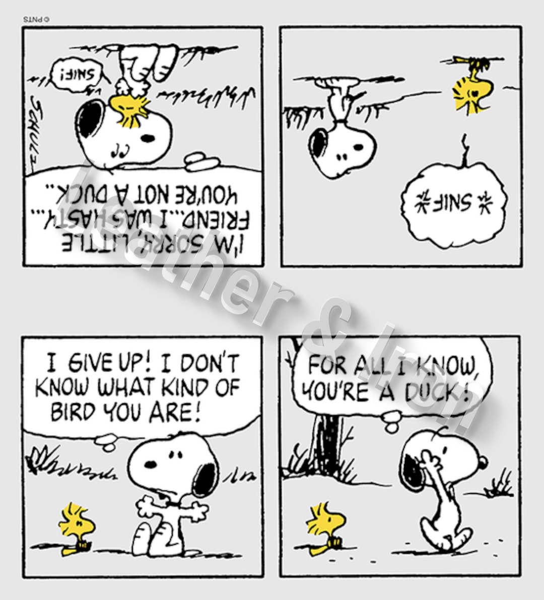 New Snoopy and Woodstock Comic Strip Design Checkbook Cover - Etsy