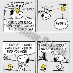 New Snoopy and Woodstock Comic Strip Design Checkbook Cover - Etsy