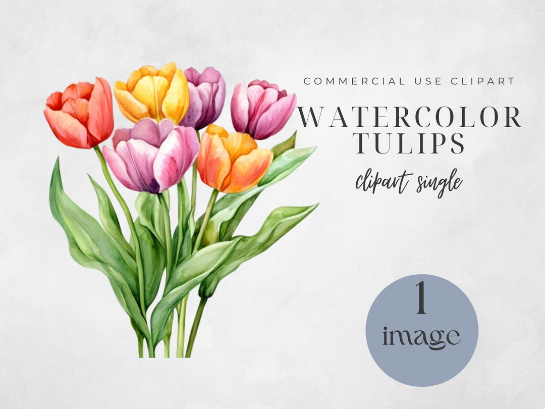 Watercolor Tulips Clipart, Watercolor Flowers, Spring Flowers, Spring ...