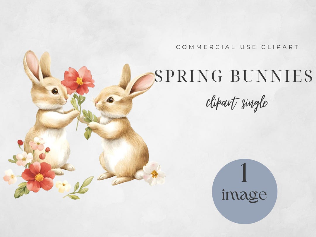 Spring Bunny Clipart, Cute Rabbit PNG, Floral Bunnies, Commercial Use ...