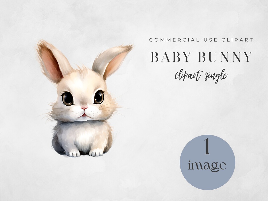 Baby Bunny Clipart, Rabbit Png, Commercial Use Clip Art, Baby Shower ...
